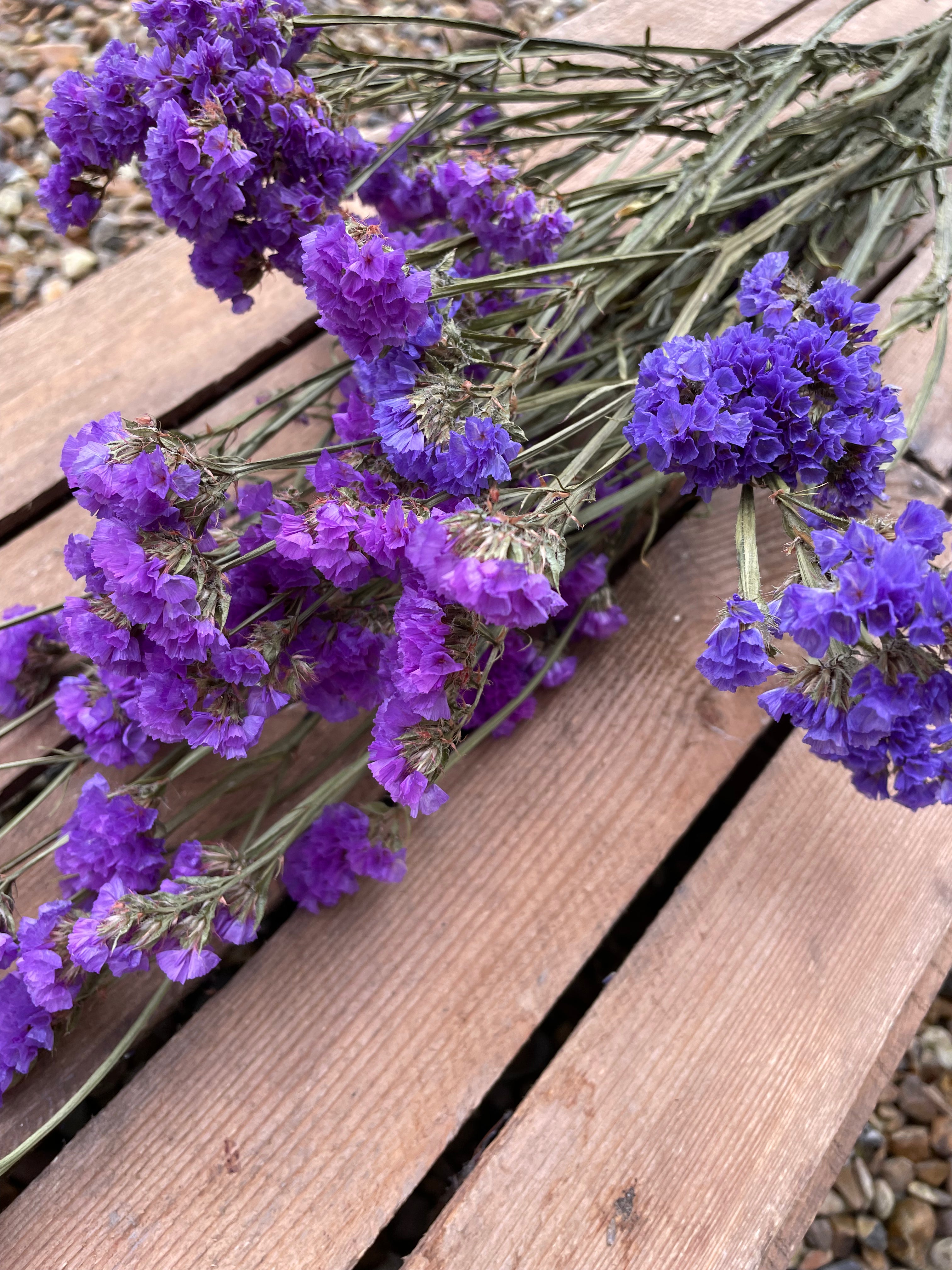 Statice - three colours – Stem and Green Flower Farm Ltd