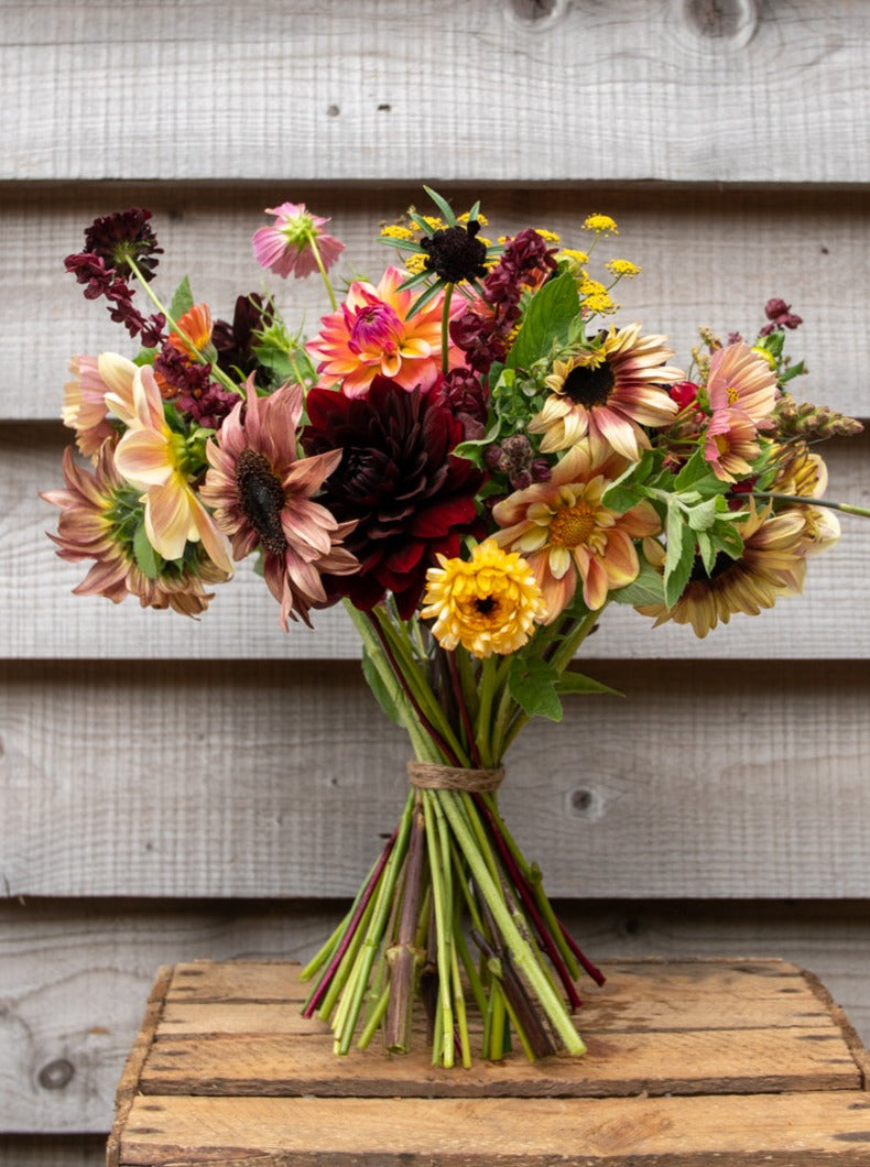 Seasonal Bouquet – Stem and Green Flower Farm Ltd